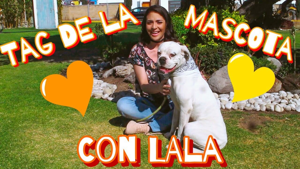 Tag de la mascota con Lala - YouTube