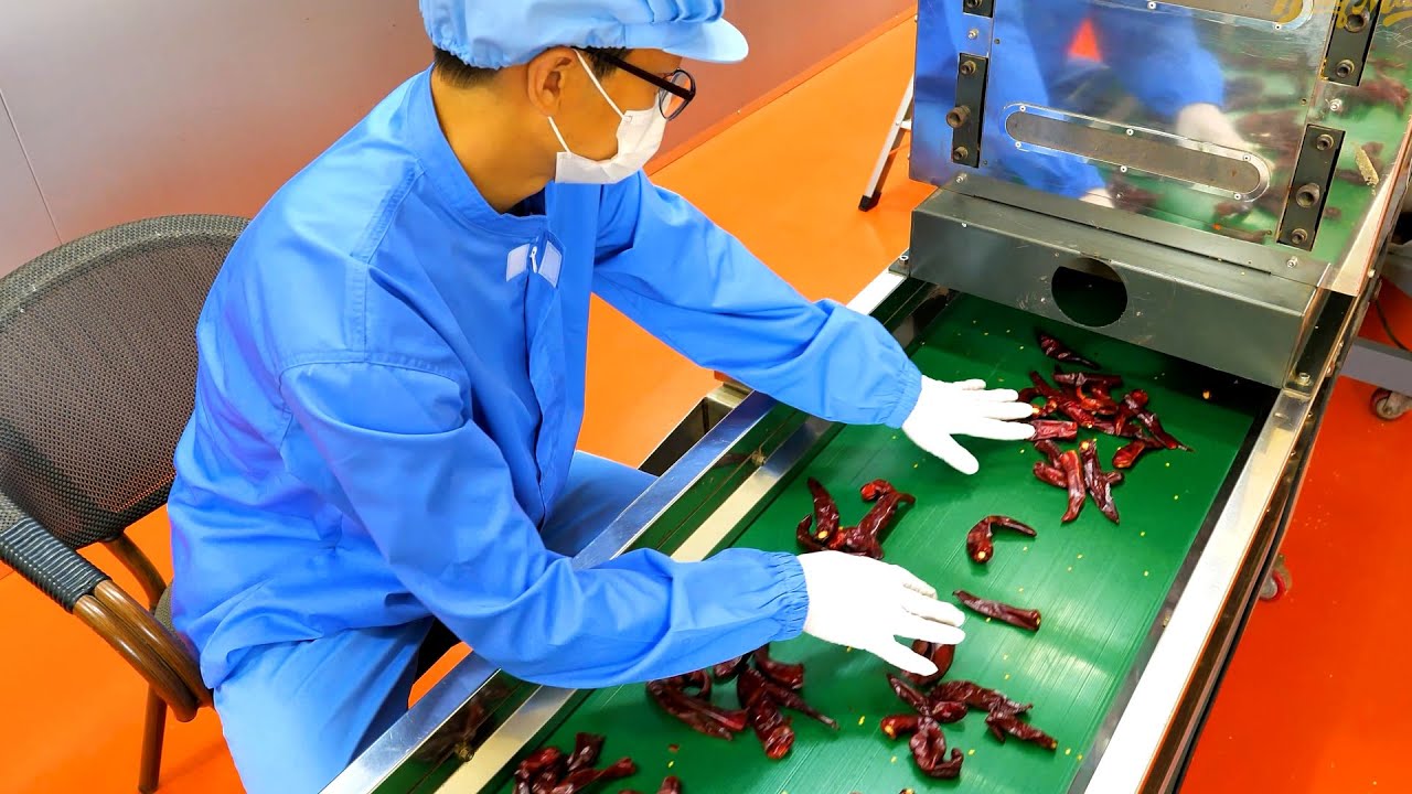 Red Pepper Powder Mass Production Process. - YouTube