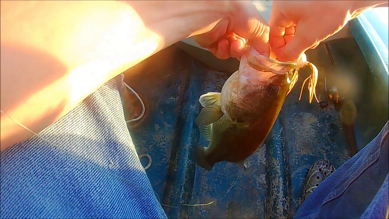 Catching Schooling Largemouth during the Shad Spawn - YouTube