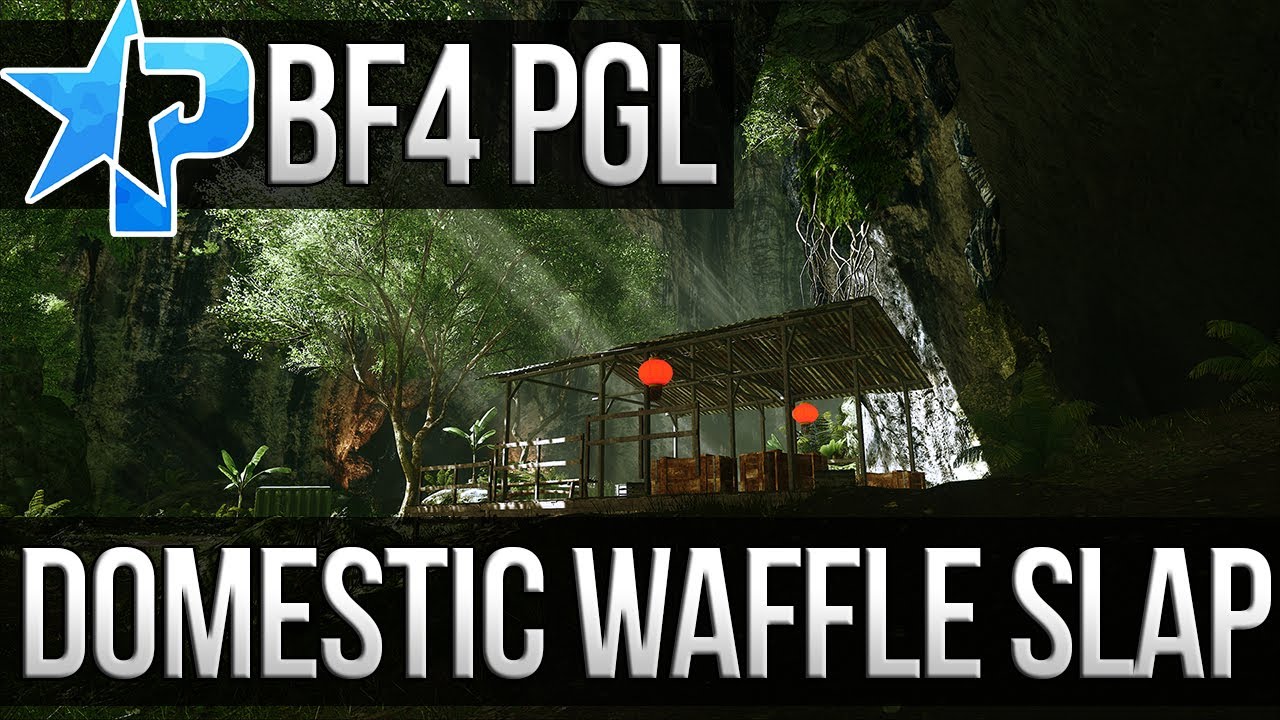 BF4 PGL - "The Domesticated Waffle Slap" QBZ-95 IRNV (Battlefield 4 ...