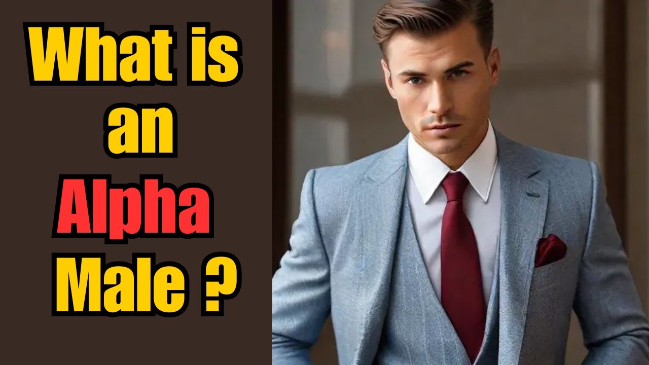 What is an ALPHA MALE? The TRUTH behind the term explained! | High ...