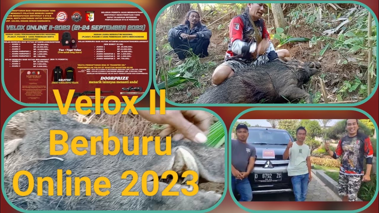 Velox Berburu Online 2023 Team Sobat Ngadoor . Dapat Babi Bertaring Panjang (Day 1) - YouTube