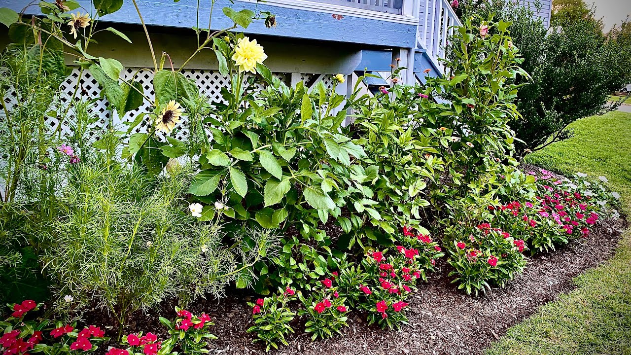 Mid August Garden Tour | Flower Garden - YouTube