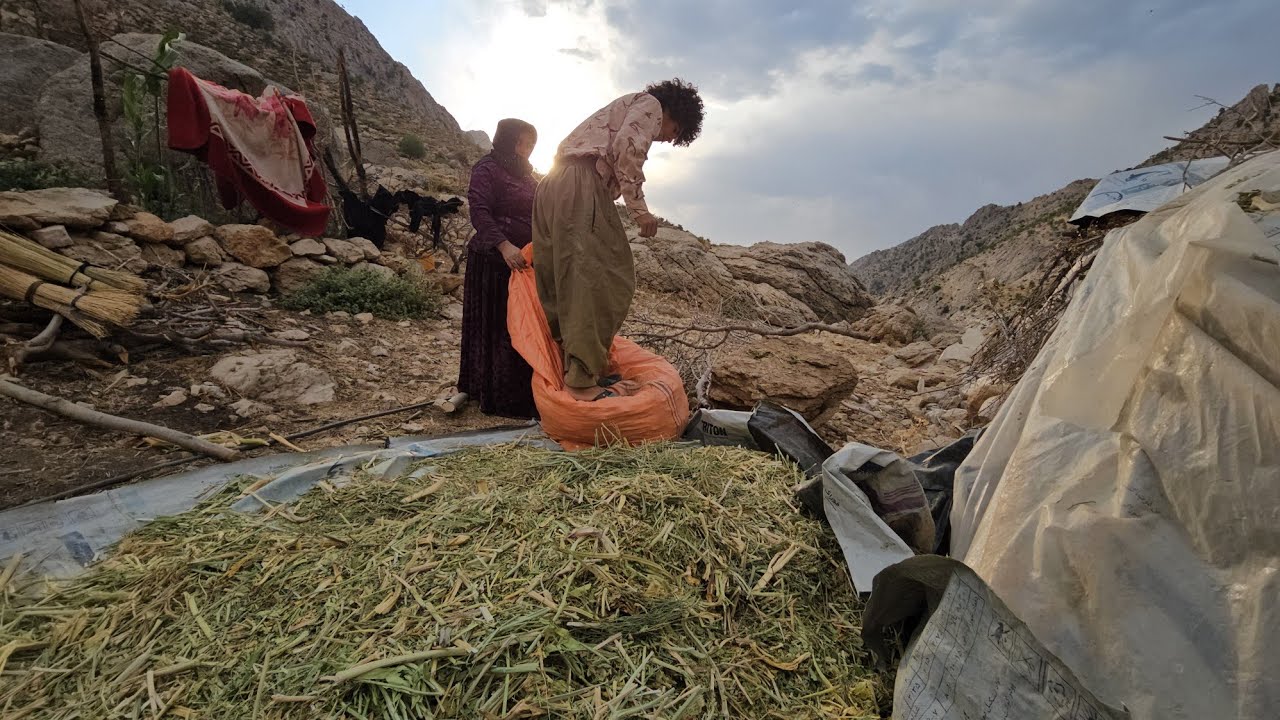 Collecting fodder from the roof to save goats in winter! (Traditional nomadic method)بدو ایران ...