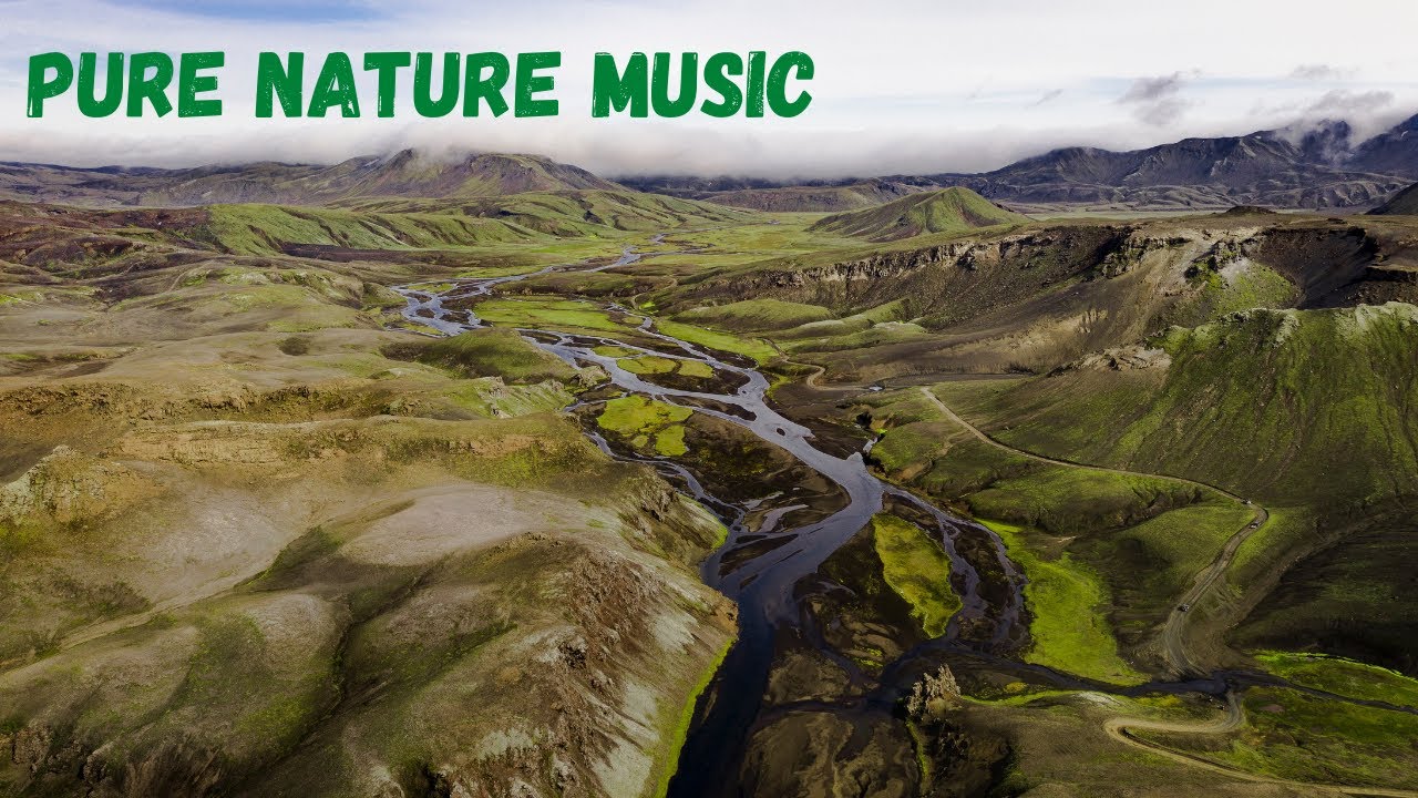 Relaxing Nature Music!! Relaxing Nature Music For Sleep!! - YouTube Music