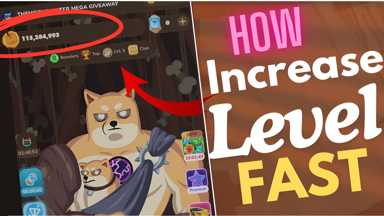 how to increase your level fast memfi | memefi Airdrop level increase ...