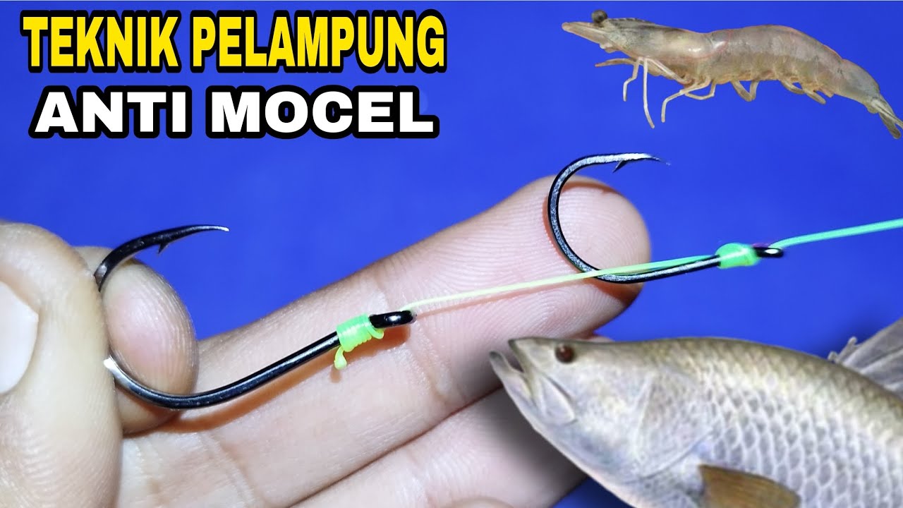 Cara Membuat Rangkaian Pancing | Umpan Udang | Anti Mocel - YouTube