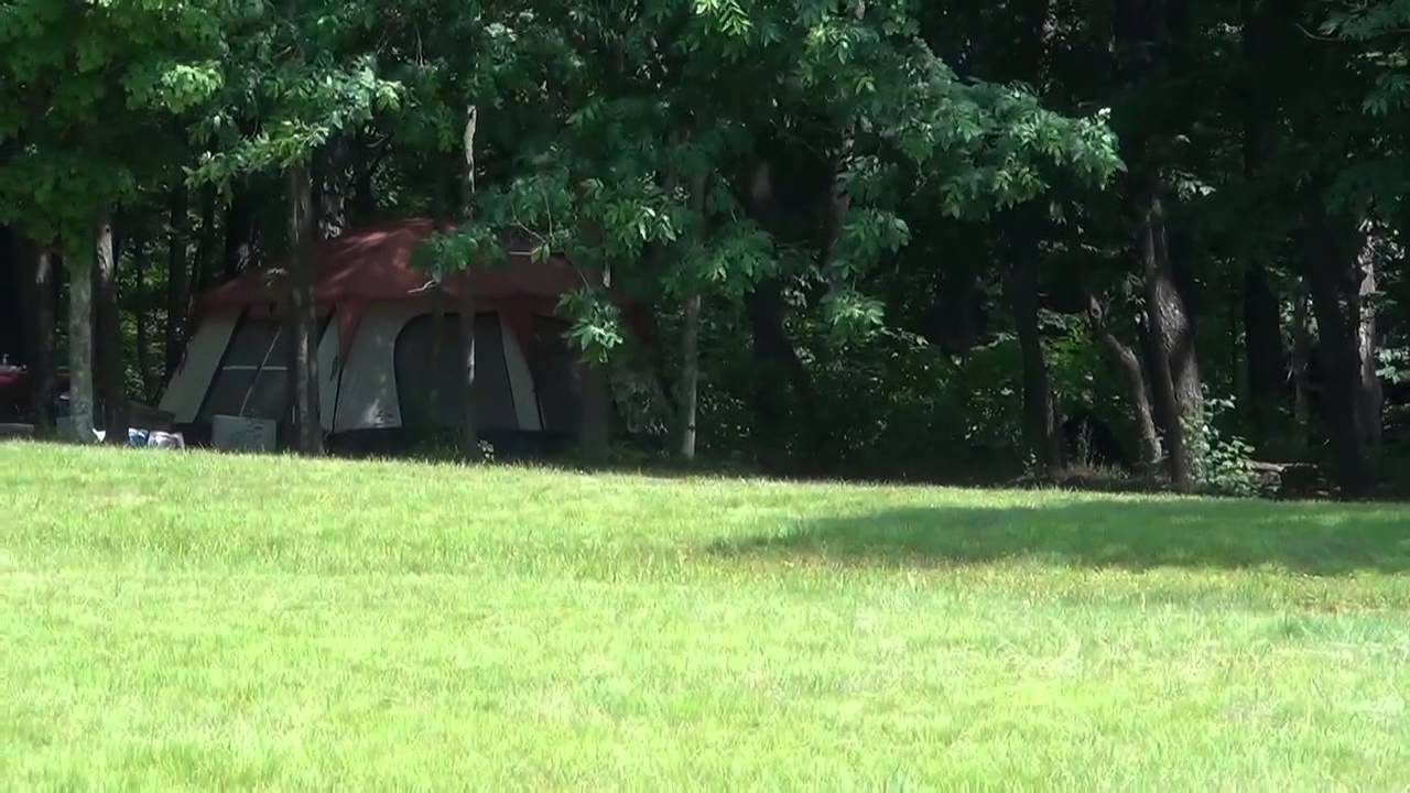 Black Bear Raids Campsite - YouTube