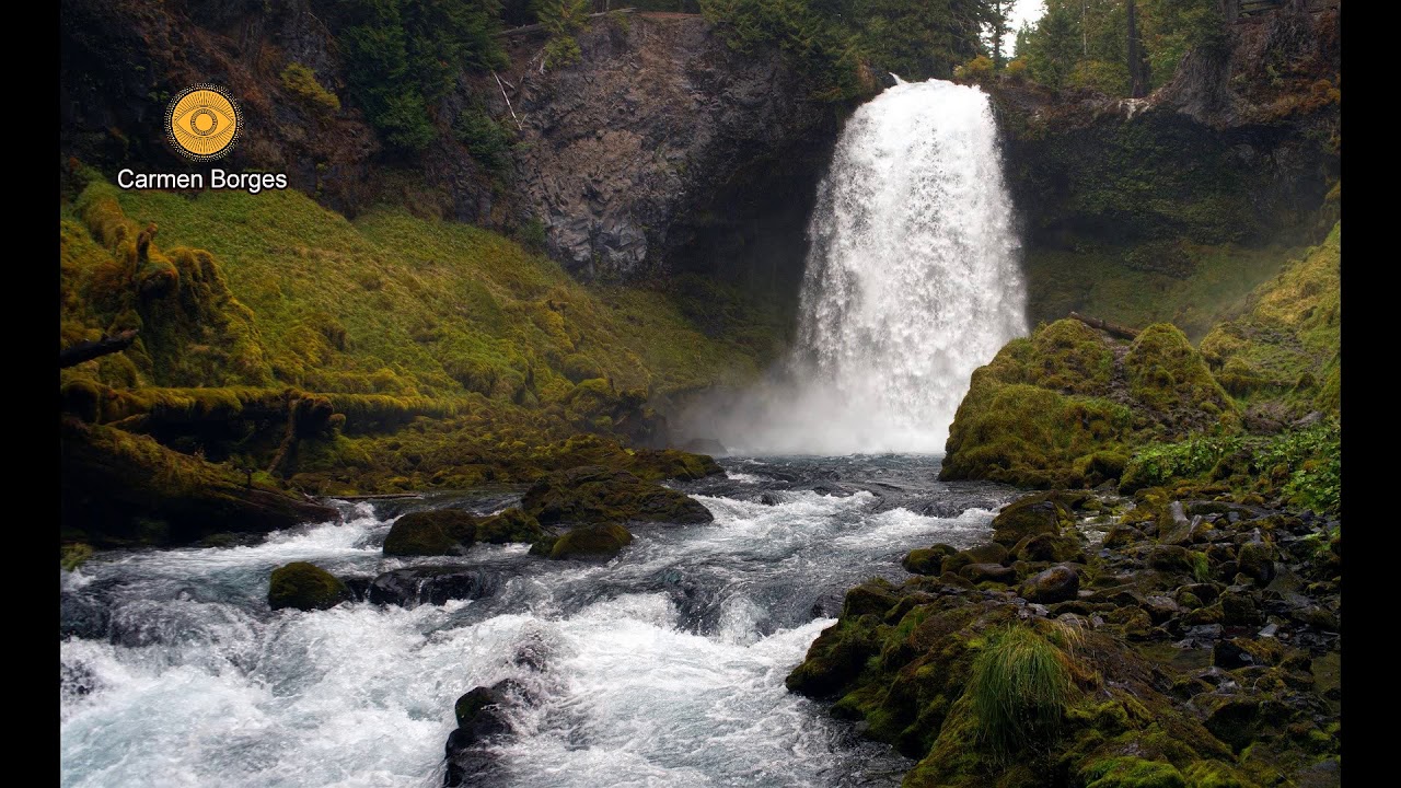 Música para Relaxar | Carmen Borges - YouTube