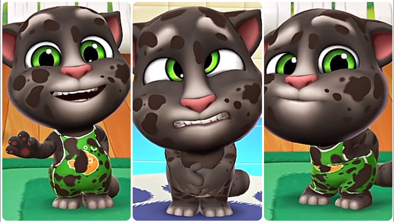 TALKING TOM FUNNY MOMENTS - YouTube