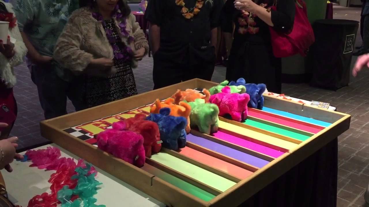 Pig race carnival game rental Bay Area - YouTube