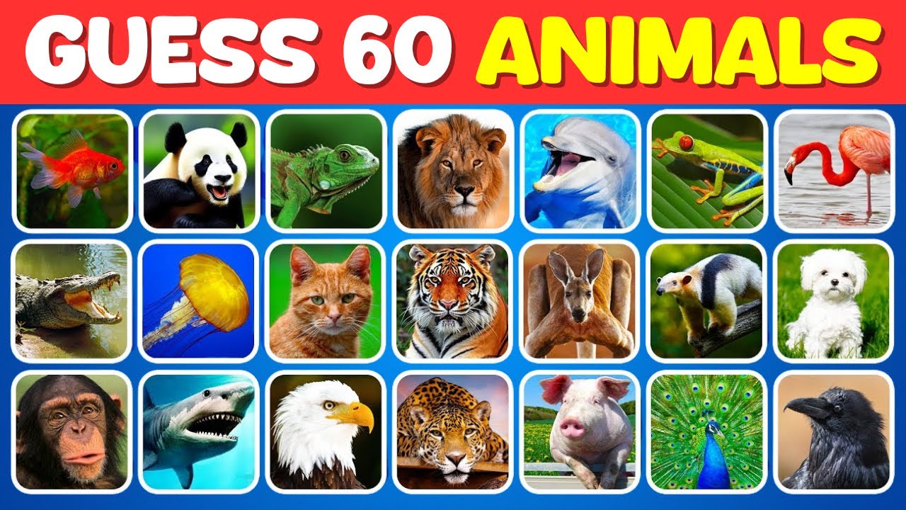 Guess 60 ANIMALS in 3 Seconds 🐱🐵 | EASY to IMPOSSIBLE - YouTube