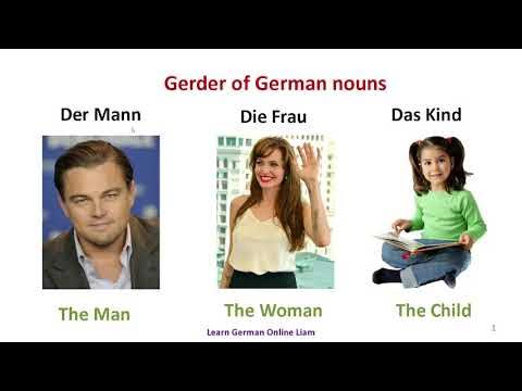 A1.1 Gender in German nouns Der Die Das article / Learn German online ...