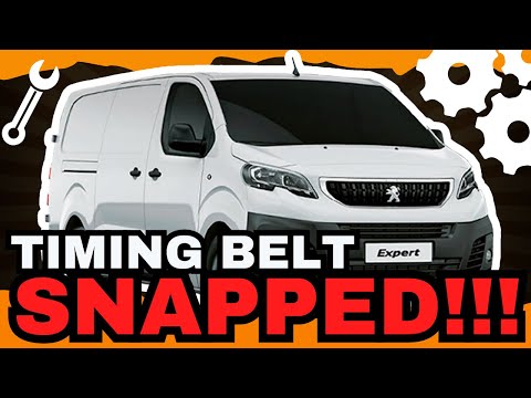 Peugeot Expert 1.6 HDi Timing Belt SNAPS at 133,000 Miles, Full Repair Breakdown | The Car Edition