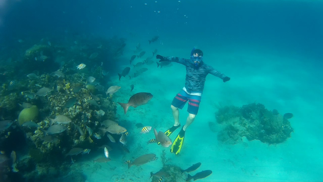Snorkeling Villa Jibacoa , Memories Jibacoa, Cuba - YouTube