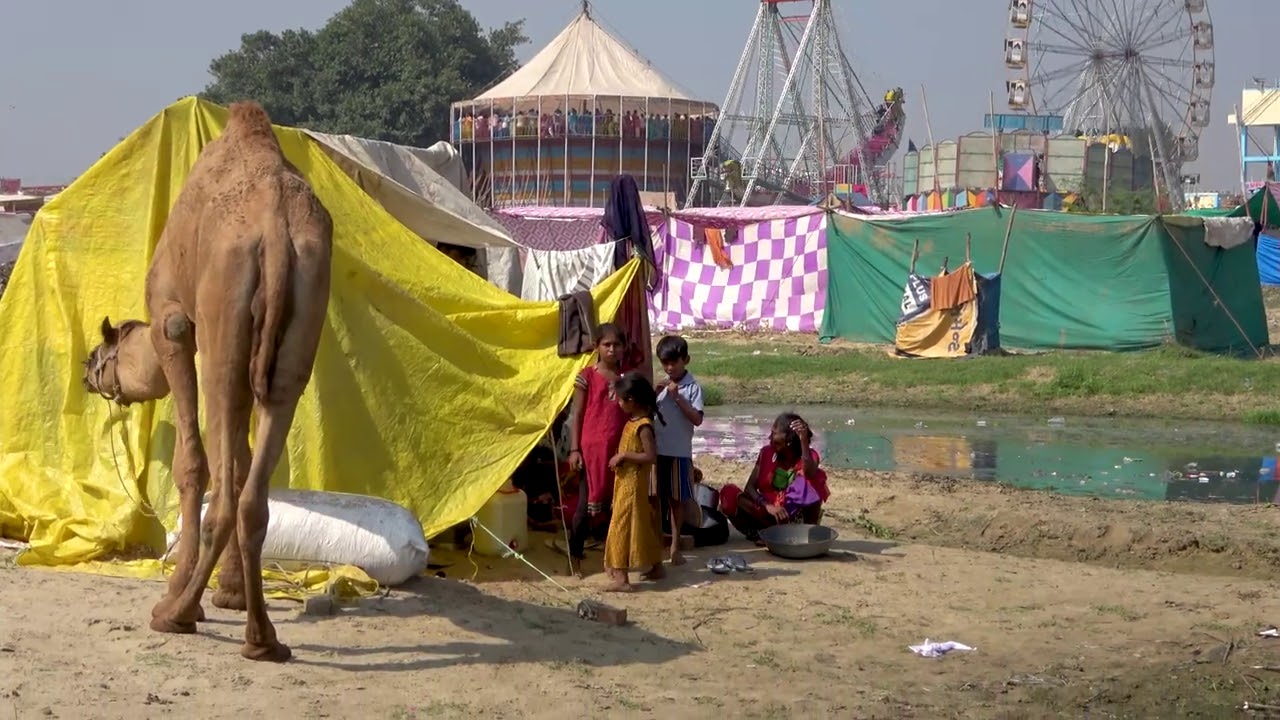 Vautha Fair Gujarat; Trade Devotion and Pleasure ... that is what the ...