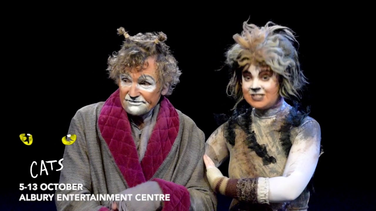 CATS GUS the Theatre Cat - YouTube