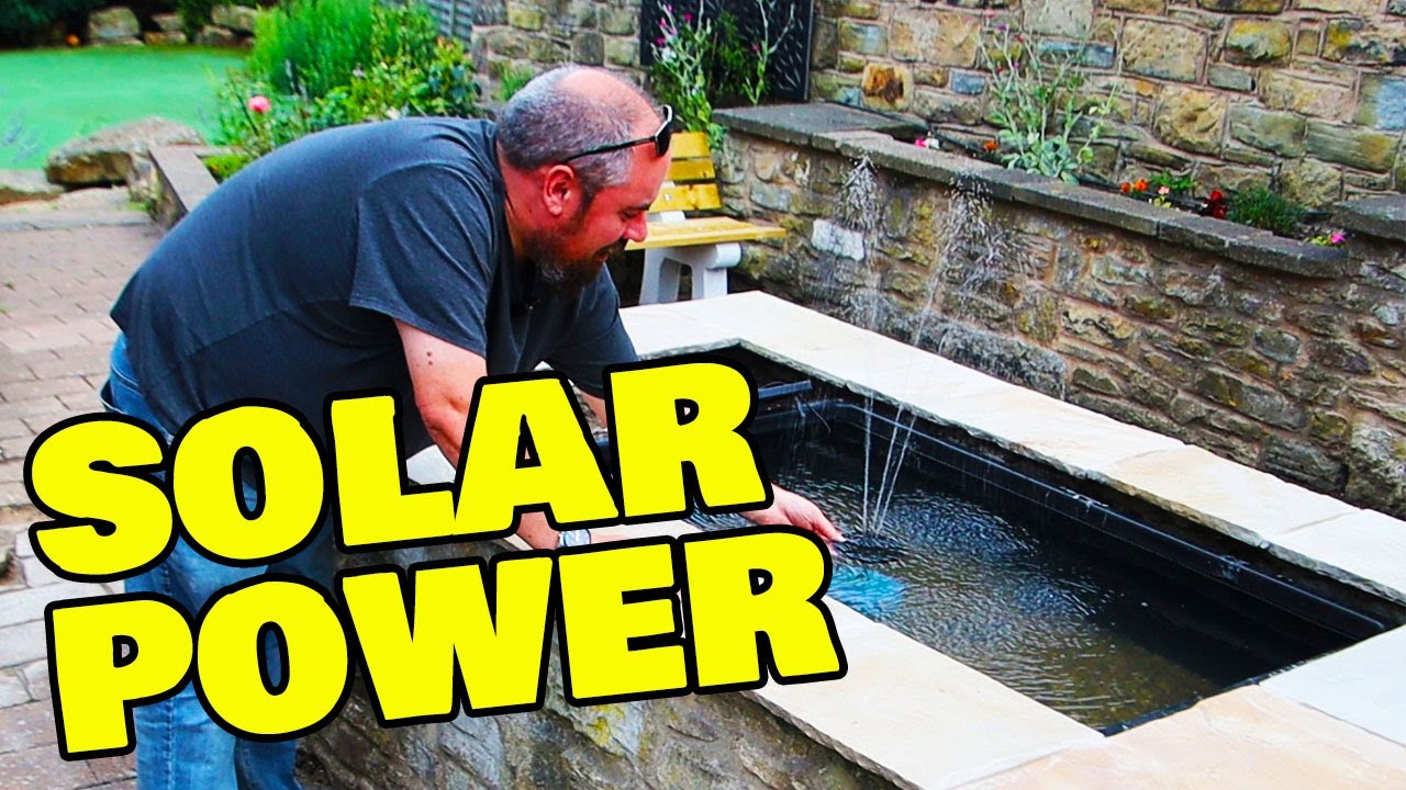 Solar Powered Pond? DIY Garden Pond build, part 1. - YouTube