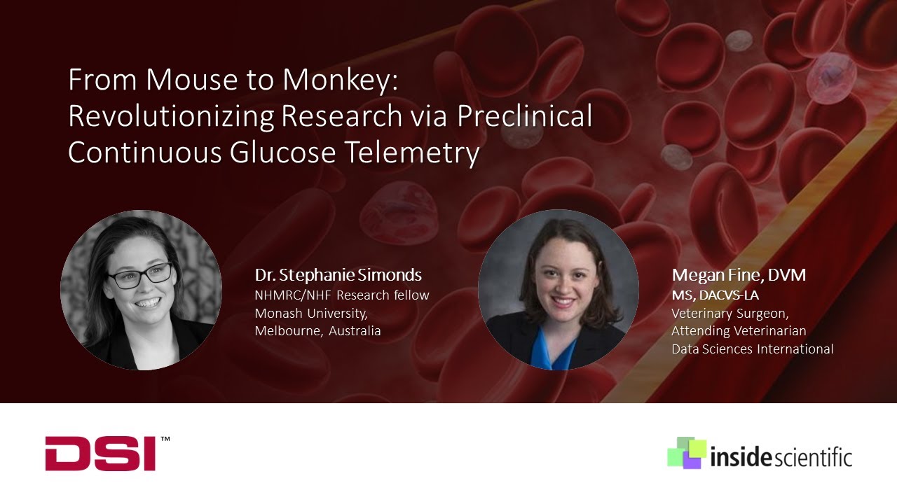 From Mouse to Monkey: Revolutionizing Research via Preclinical ...