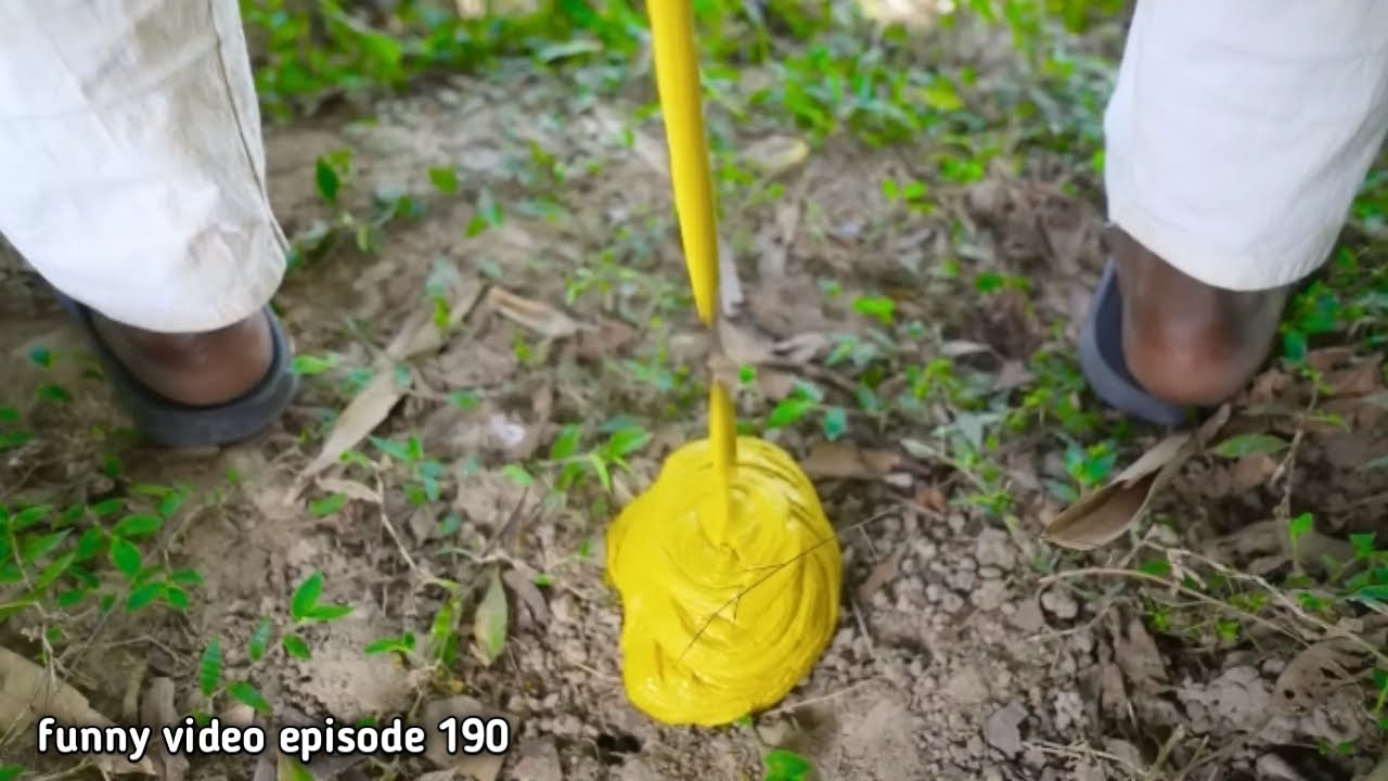 Must watch new potty potty comedy video poop poop funny videos Episode ...