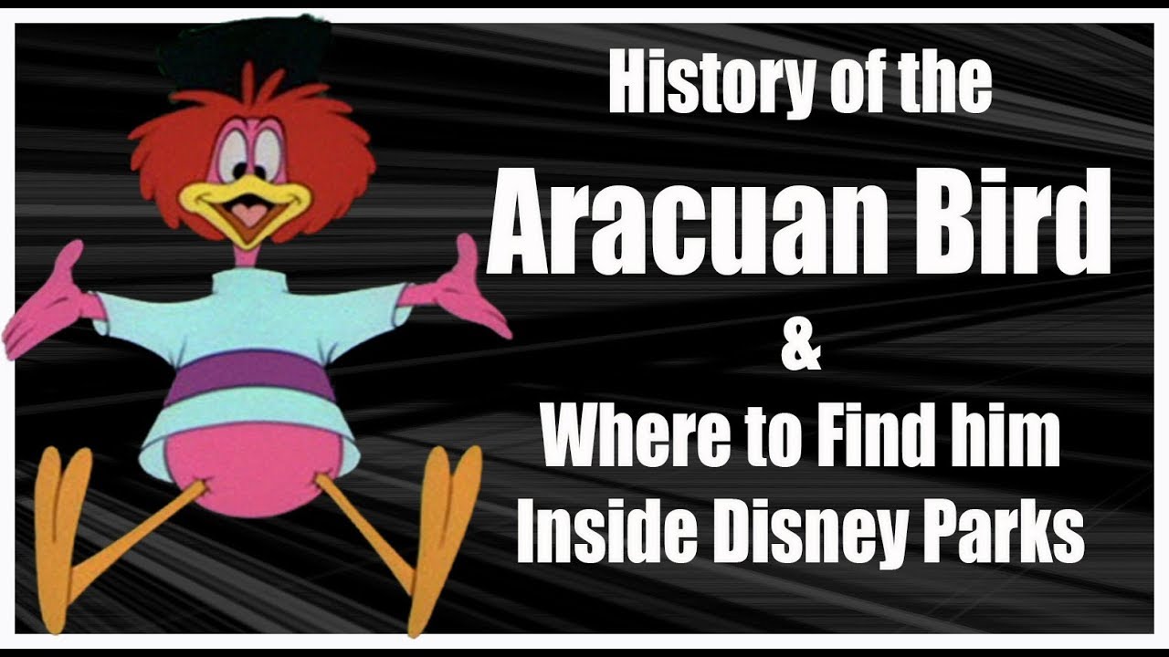 History of the Aracuan Bird and Where to Find Him at Disney - YouTube