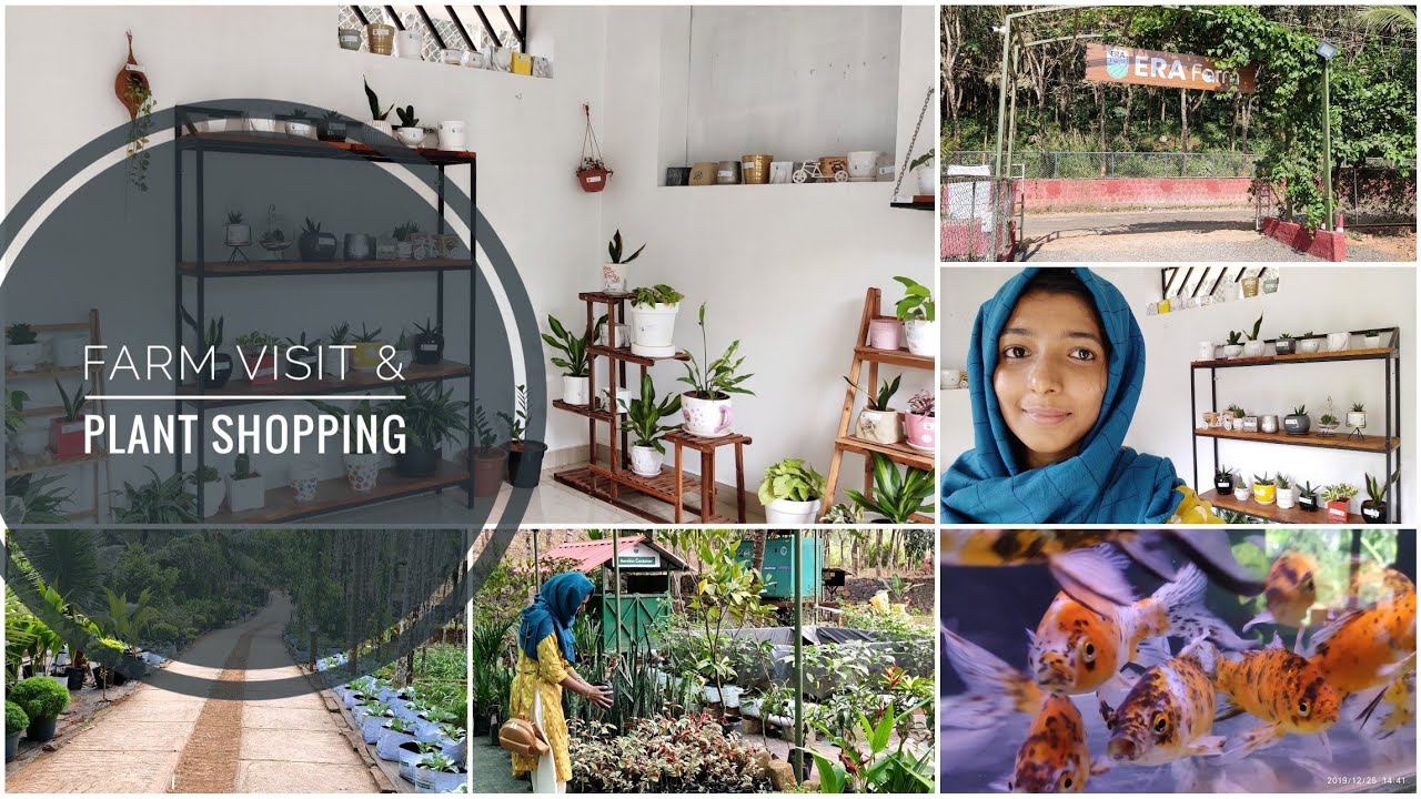 Era Farm|ഒരു അടിപൊളി ഫാം| Plant Shopping| Farm Visit|Era Nature - YouTube