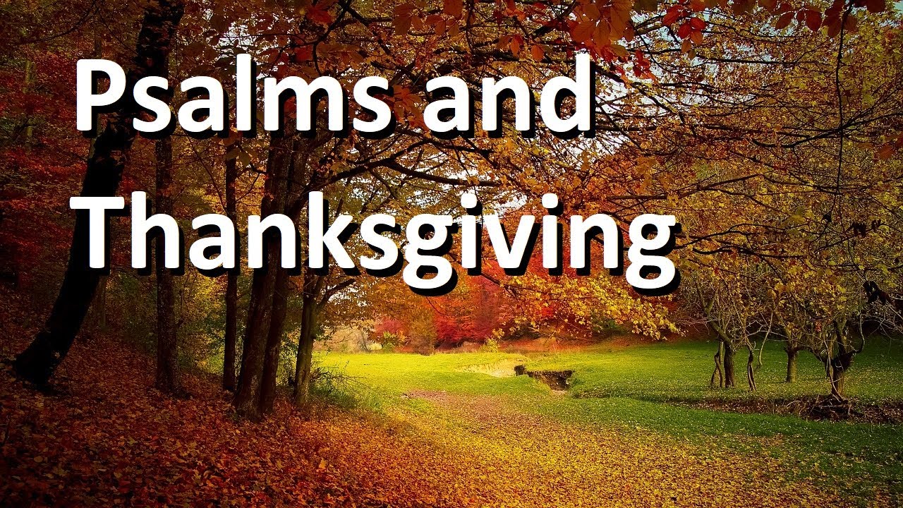 Psalms and Thanksgiving: Fall Foilage Photos #autumn #psalms # ...