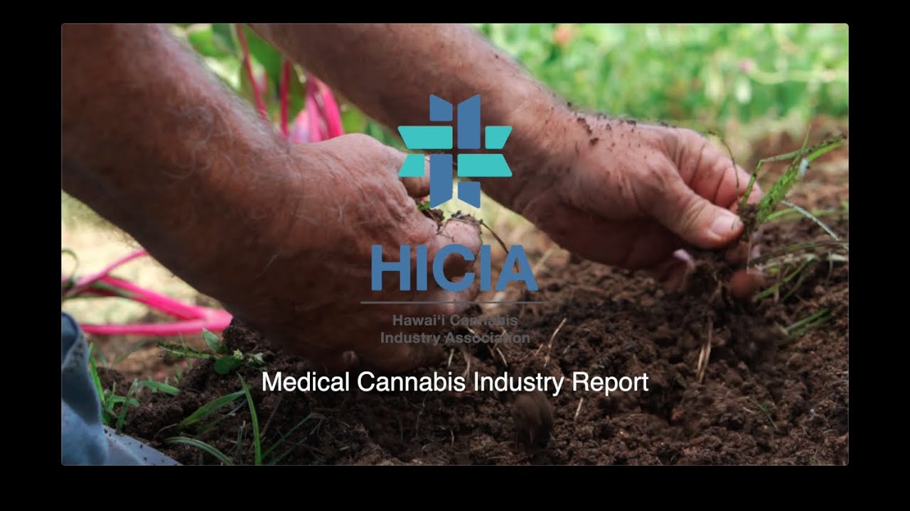 2021 - HICIA's Status Update of the Hawaiʻi Medical Cannabis Industry ...