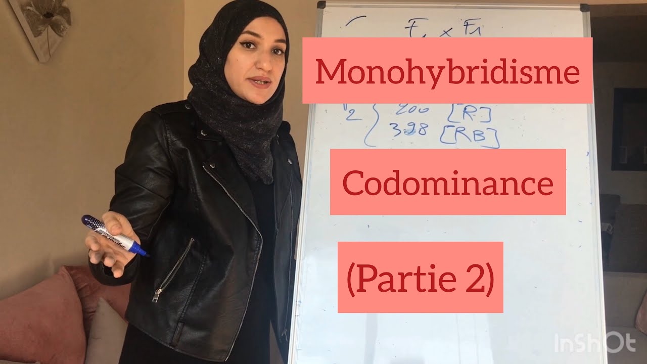 Unité 2/chapitre 4 (partie 2) monohybridisme / codominance - YouTube
