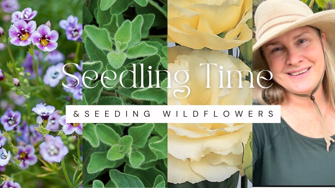 Sowing Wildflowers and Starting 17 Varieties of Seeds - YouTube