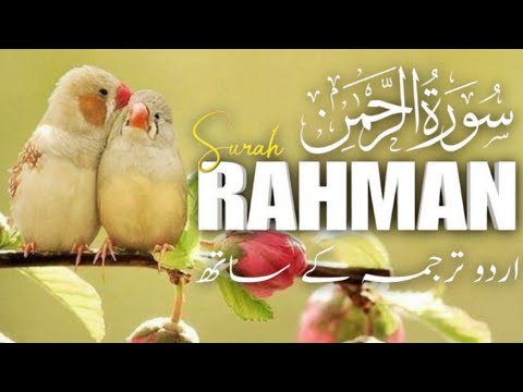SURAH REHMAN FULL 🎧🌝 | SURAH REHMAN BEAUTIFUL RECITATION | EPS (41)n.m ...