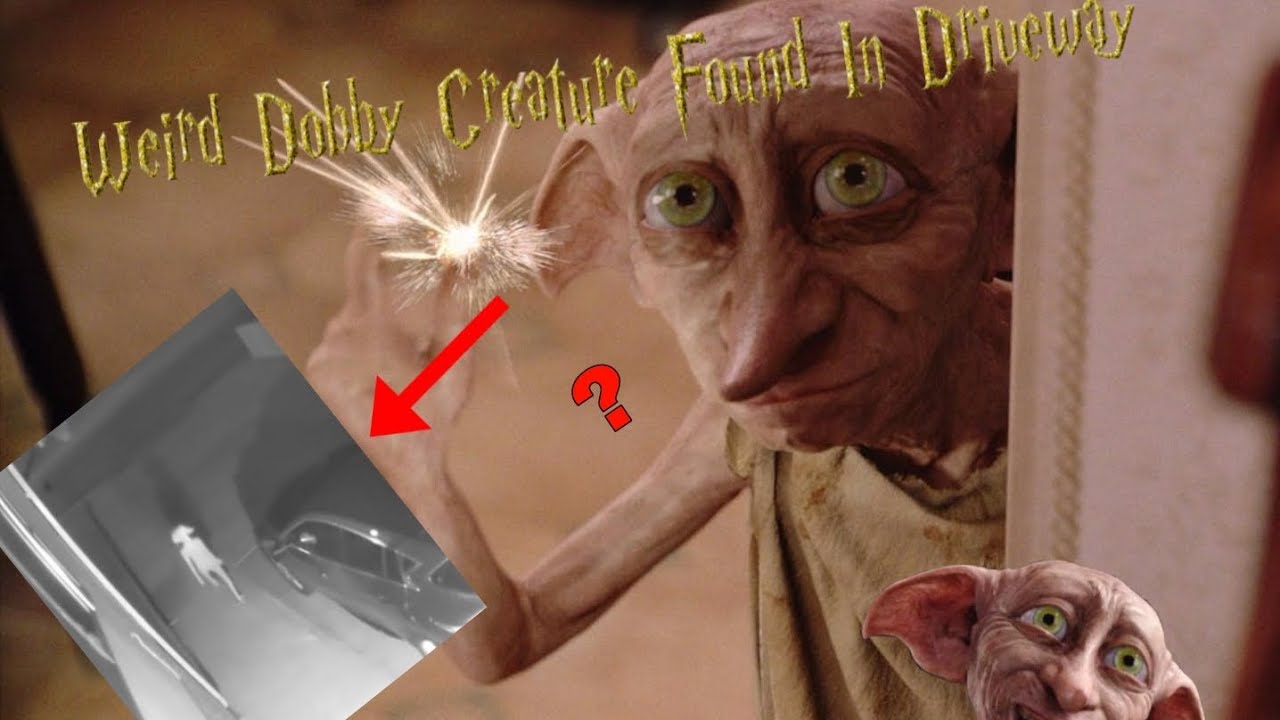 Weird Dobby Creature Found In Driveway - YouTube