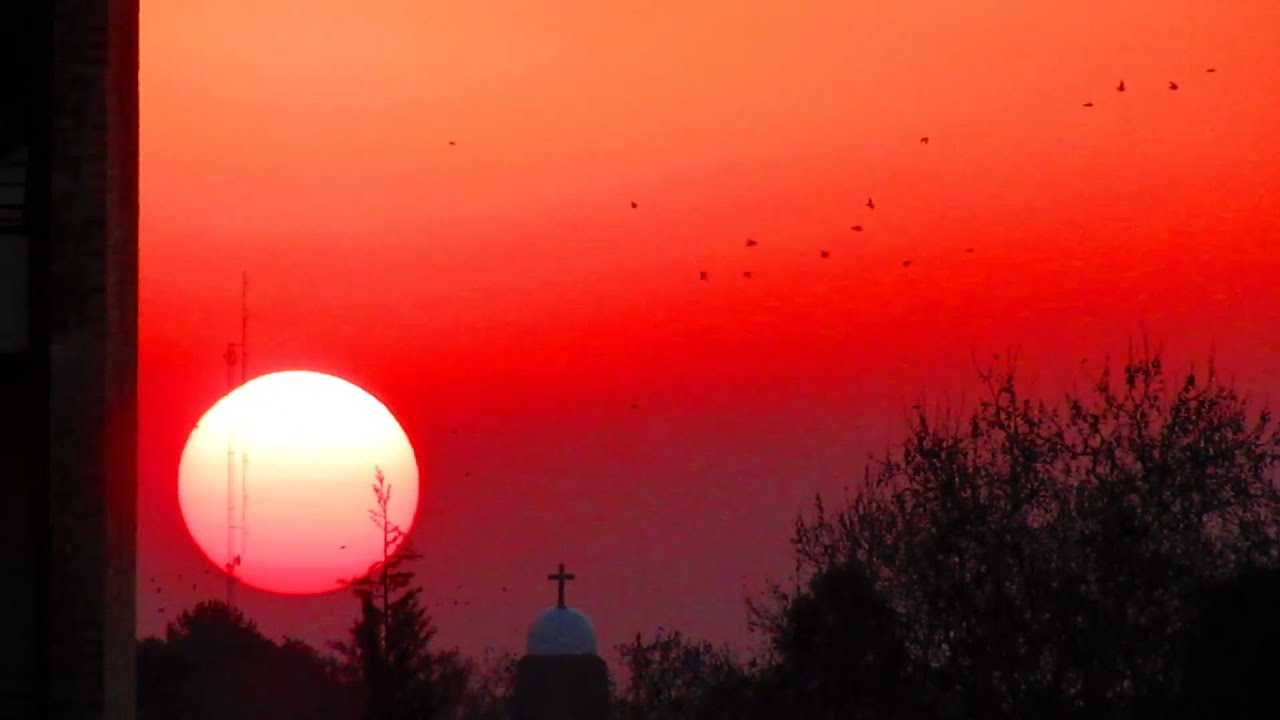 COMRADE - Come My Brother - YouTube