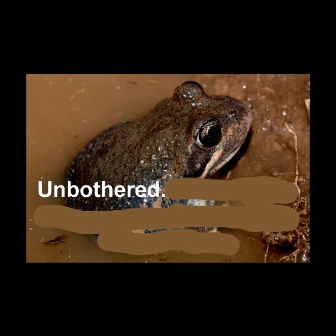 Unbothered #foryou #memes #funnymemesdaily #dankememes #funny # ...
