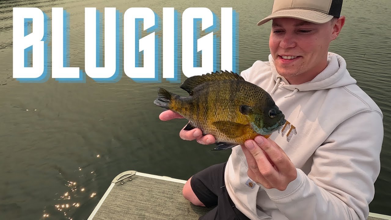 Targeting The Most Feared Freshwater Fish: The BLUGIGI - YouTube