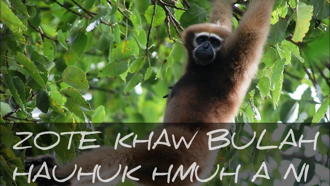 Hauhuk in bul hnaiah an lo kal - YouTube