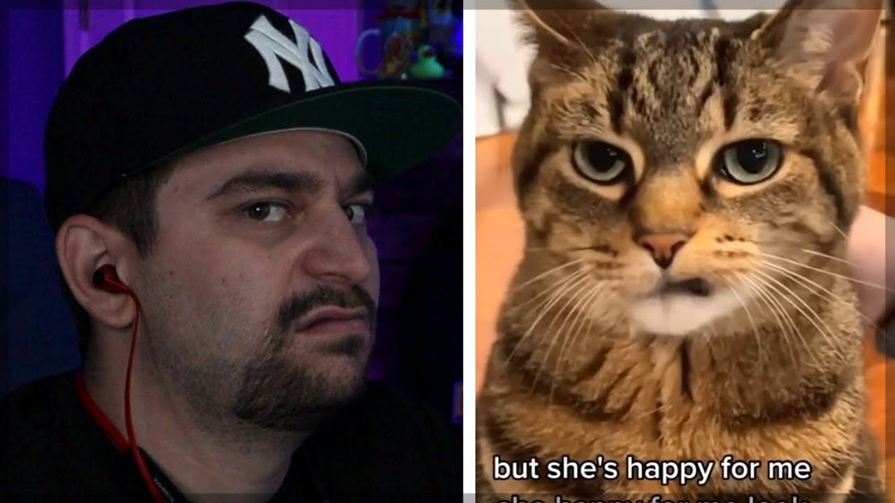 NOT A HAPPY CAT! Funniest TikToks of May REACTION! - YouTube