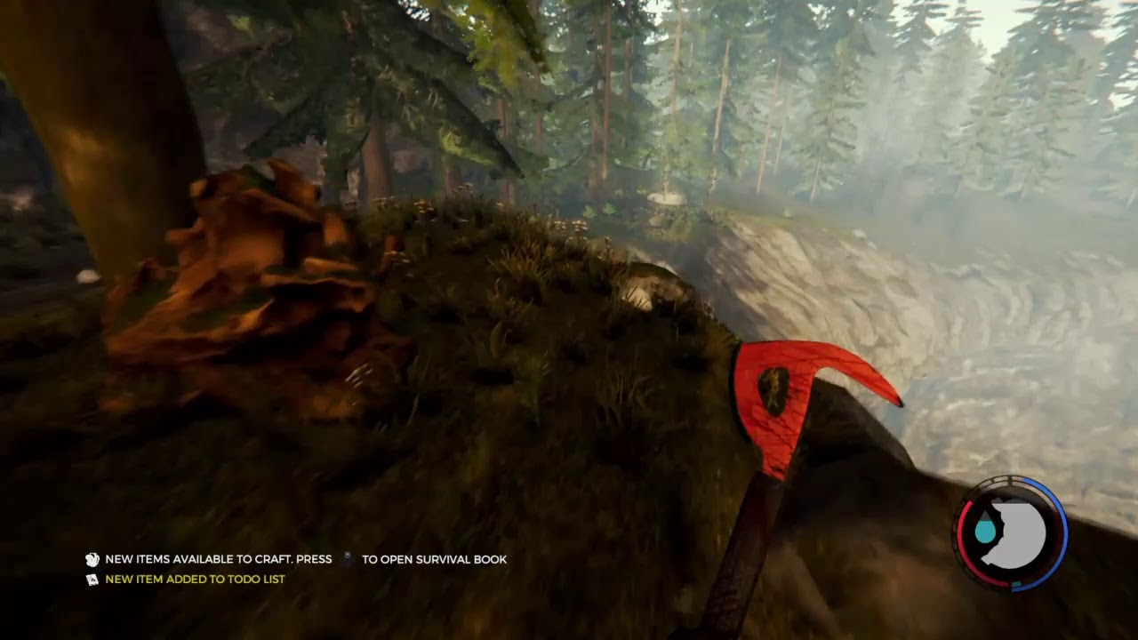 The forest speed run - YouTube