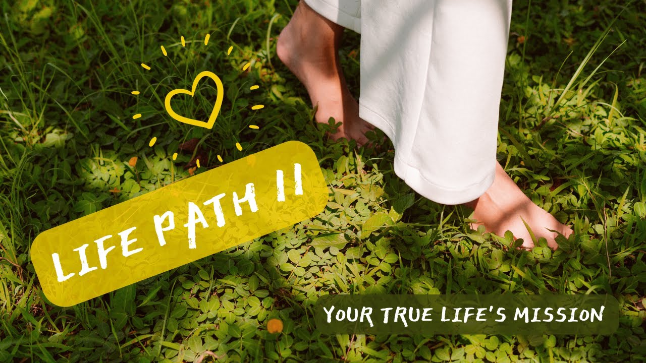 life path 11 What qualities does this number give you? - YouTube