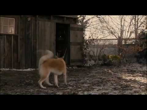 Based on the real story the dog Hachi - YouTube