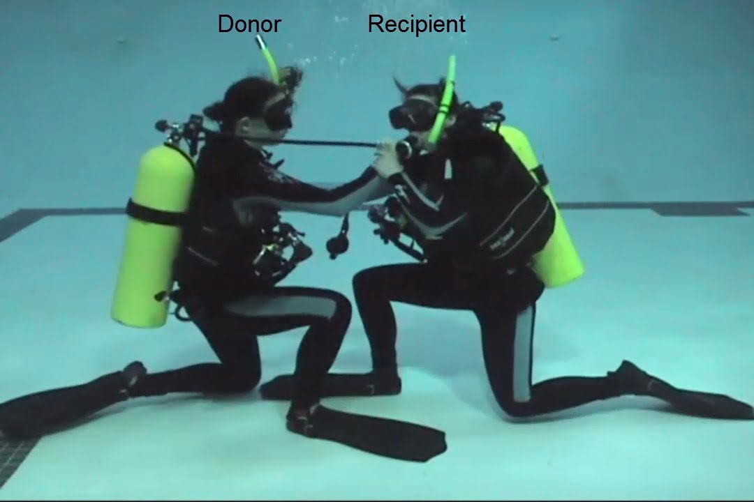 NOAA Diver: Check Out Skills Part 8 - Buddy Breathing to the surface ...