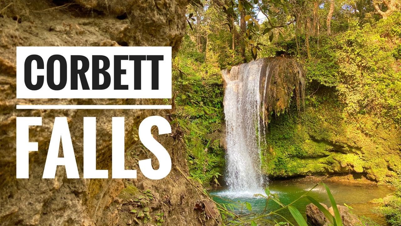 Corbett Falls | Virtual Tour| Nainital Trip During Corona Pandemic ...