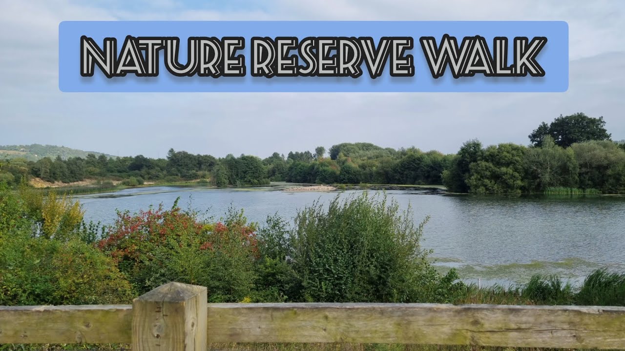 Nature reserve walk | relaxing | virtual walk |asmr | slow TV | Nature ...