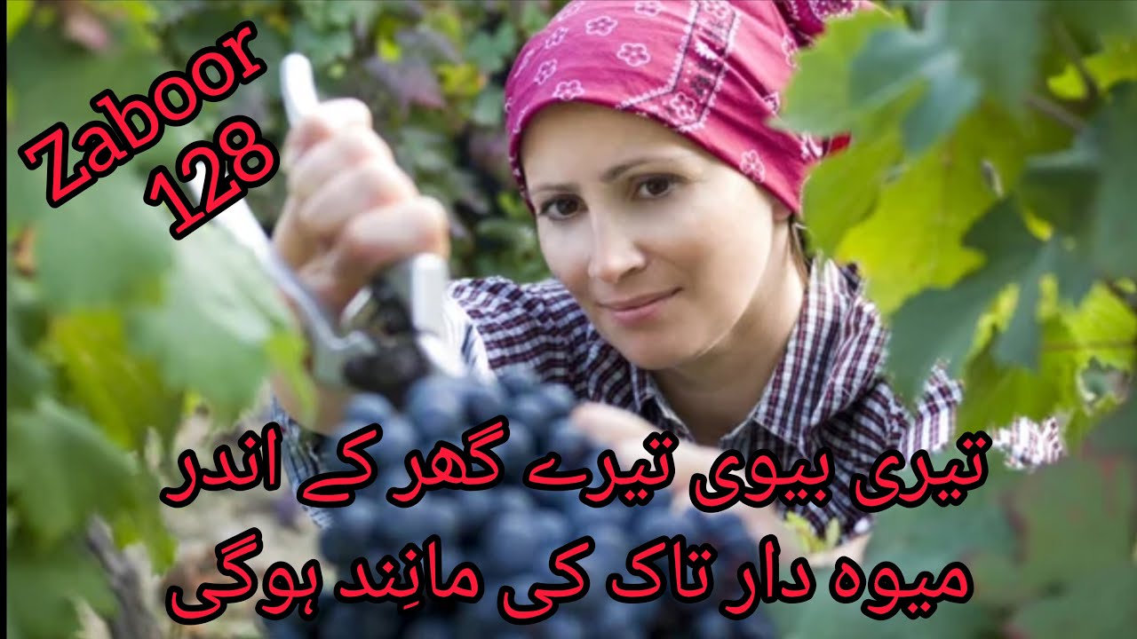 Zaboor 128 ! Zaboor ! word of God! Daily Bible read and listen ! Shere ...