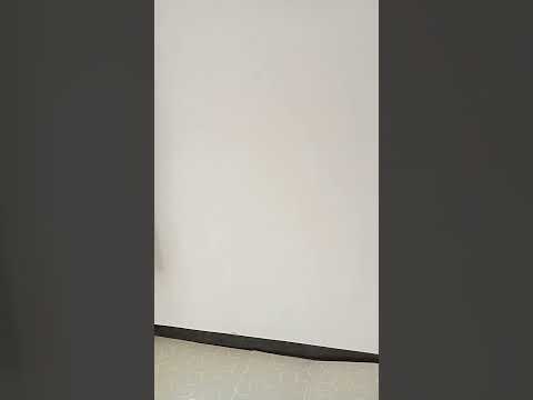 Playmate sugar baby review