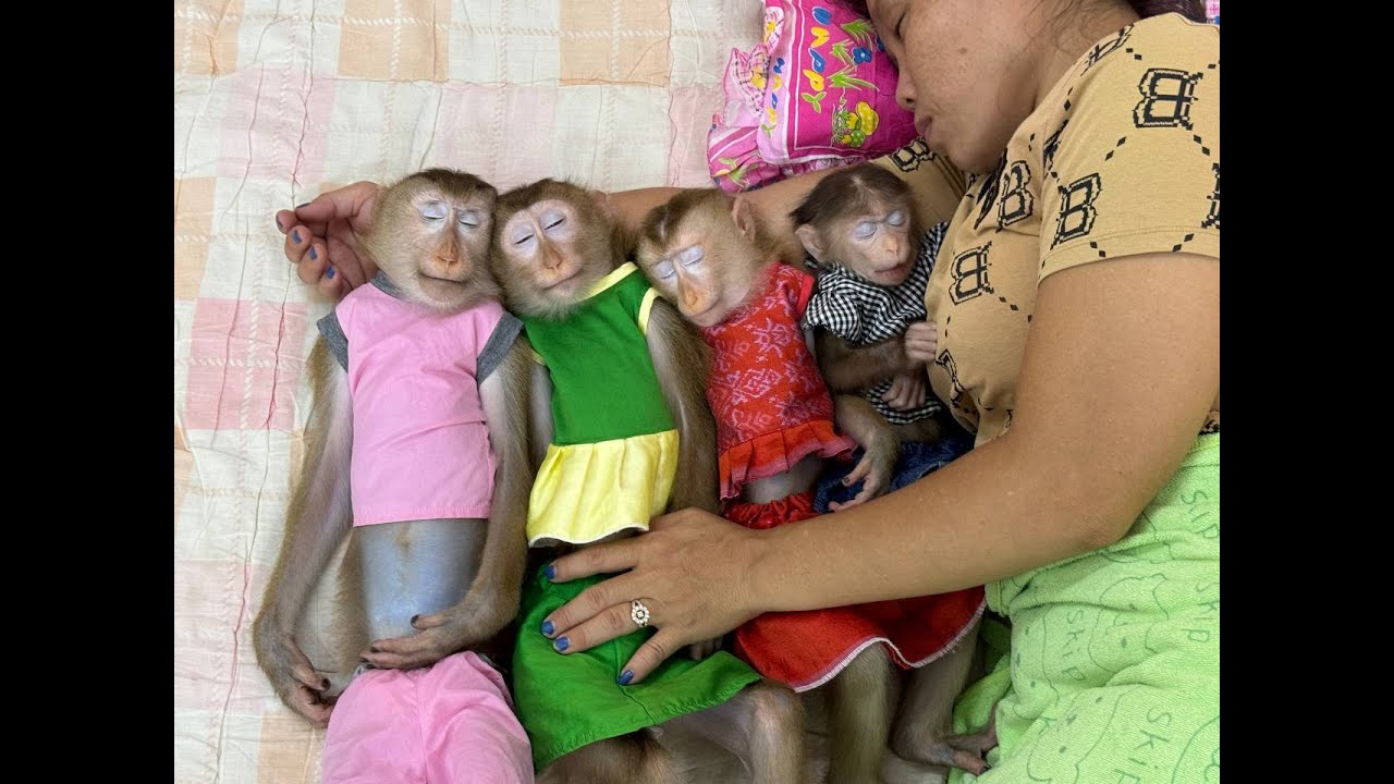 Mom Best Accompany 4 Siblings To Sleep With Warm Cuddling Till Falling ...