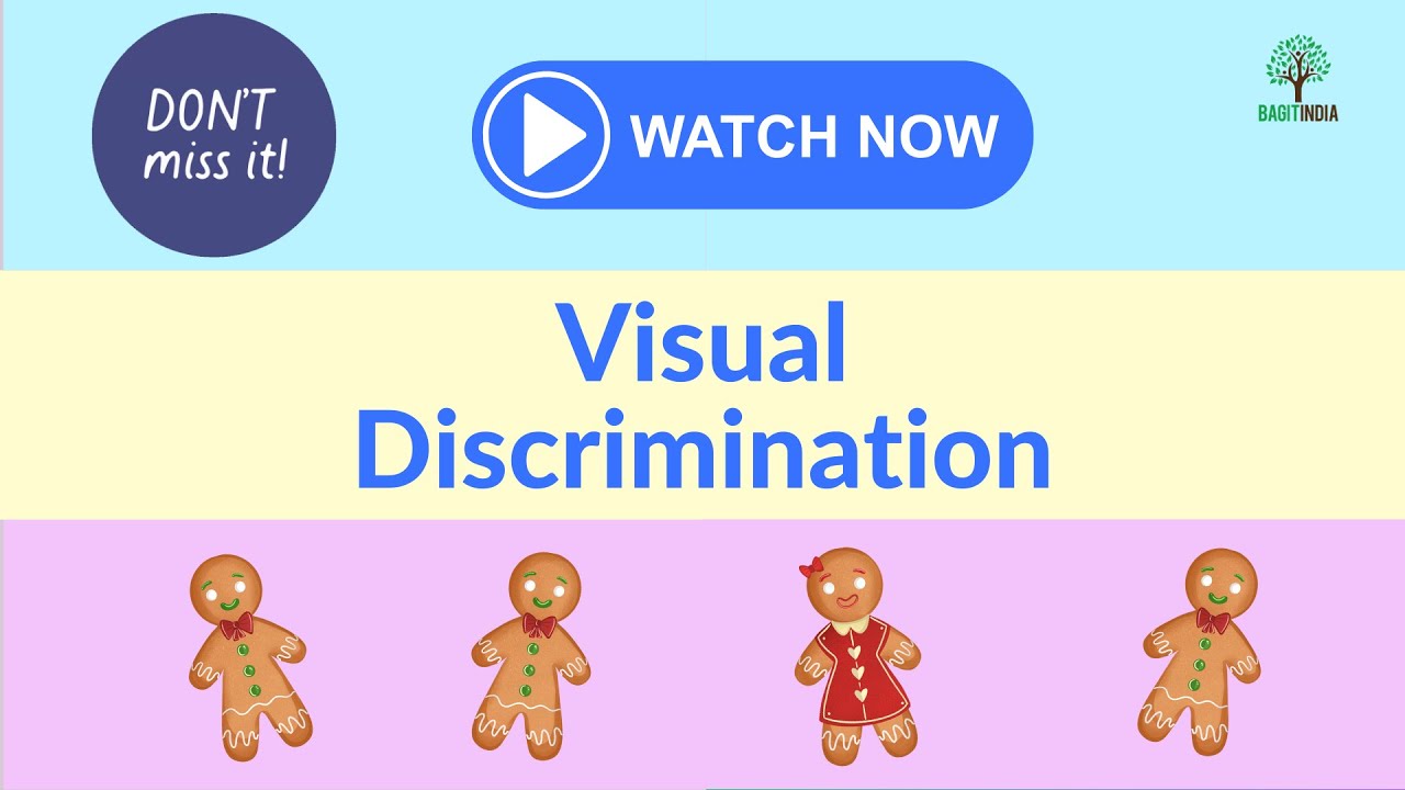 Develop observational skills -5| Visual Discrimination | ages 3-6 - YouTube