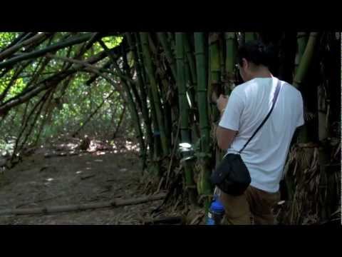 Kwame Nkrumah University of Science and Technology (KNUST) - YouTube