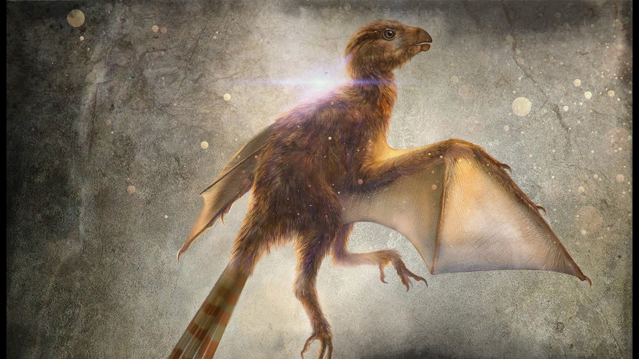 That Time Evolution Made Real Dragons - YouTube