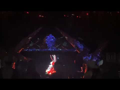 Two Foxes (Ambient Set) w/ Datagrama Visuals [The Rendezvous 2024] (3/6)